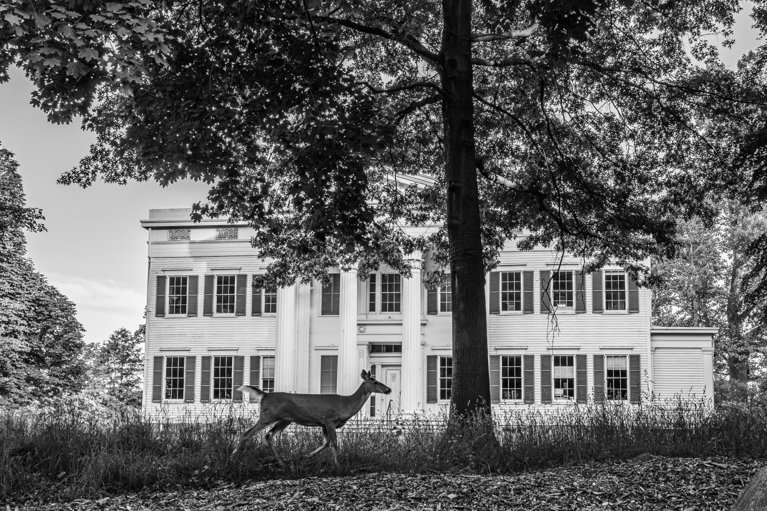 Art of Rye: The 1838 Jay Mansion - MyRye.com