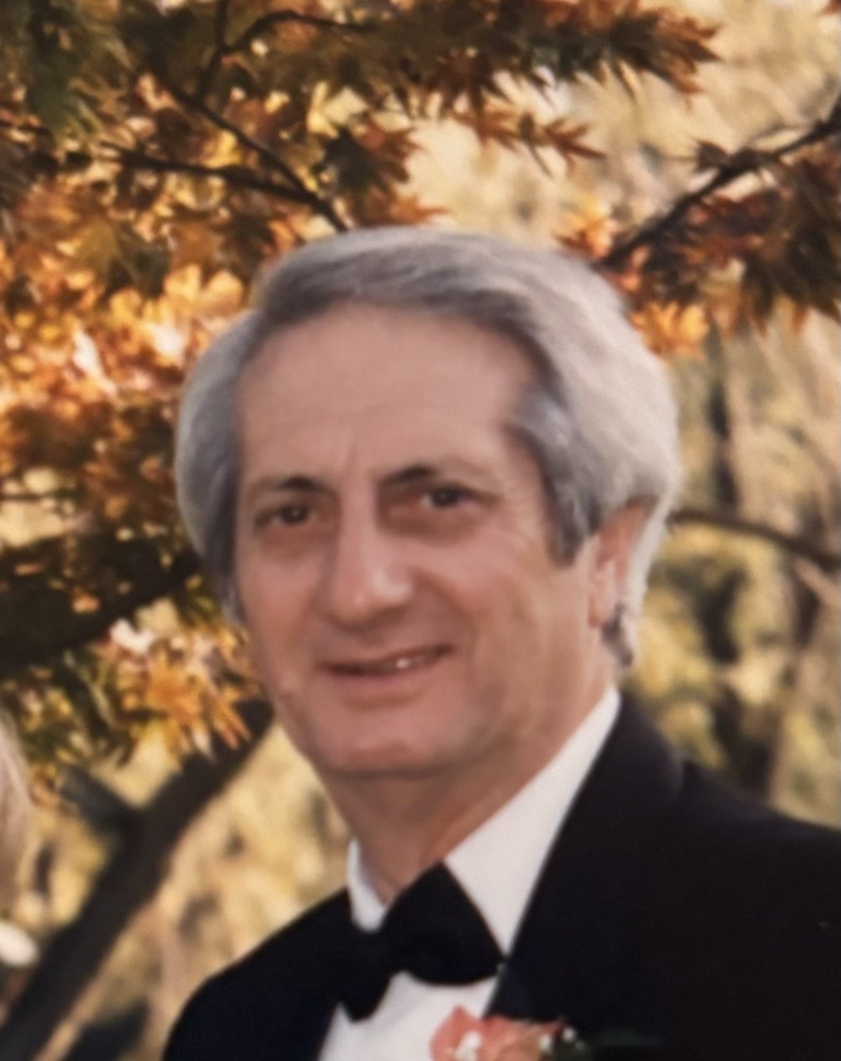 In Memory: Ralph Vellone, Age 92 - MyRye.com