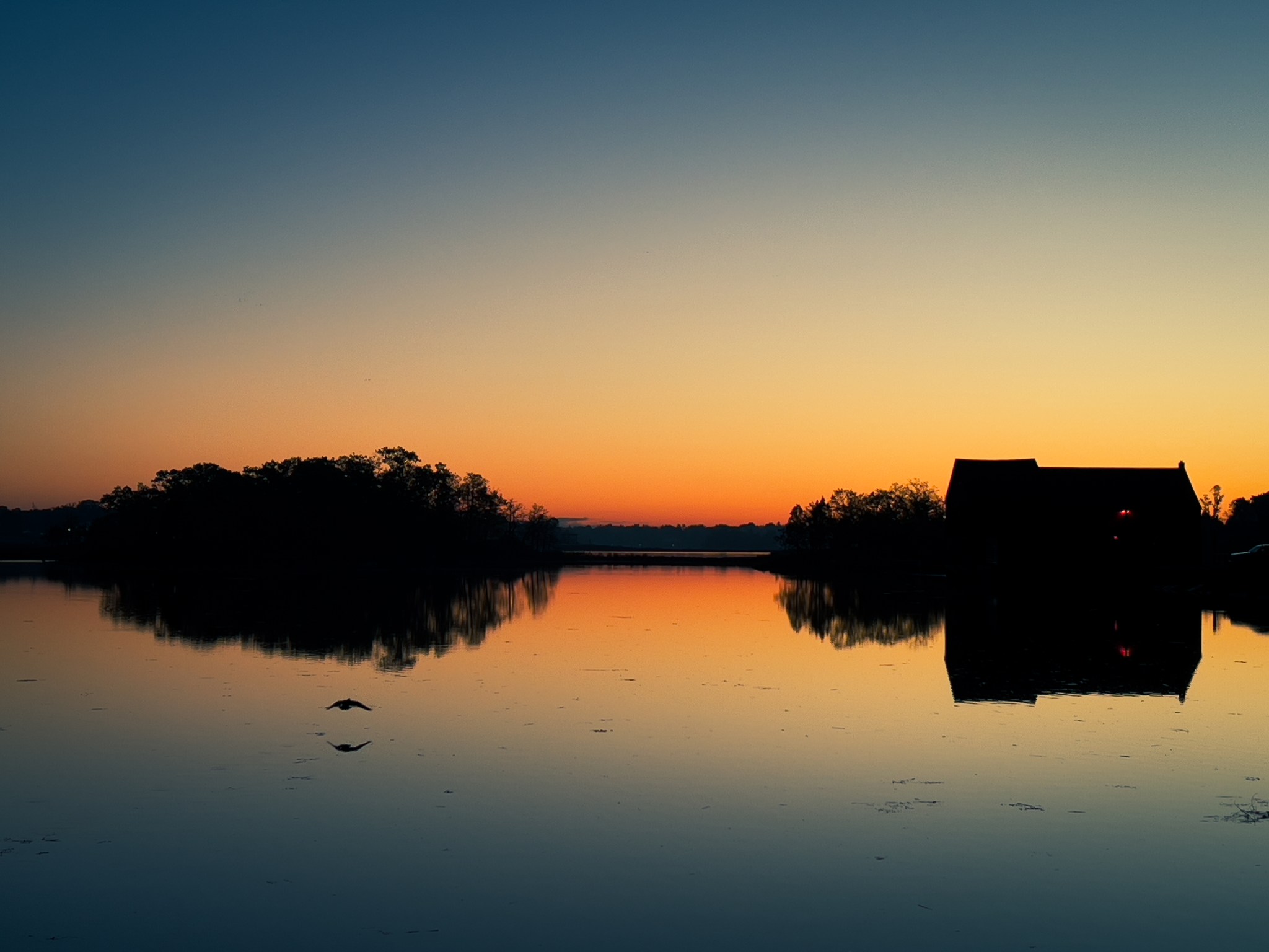 Art of Rye: The Mill Pond - MyRye.com